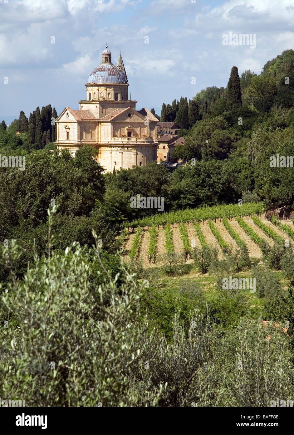 Vigneto toscano immagini e fotografie stock ad alta risoluzione - Alamy