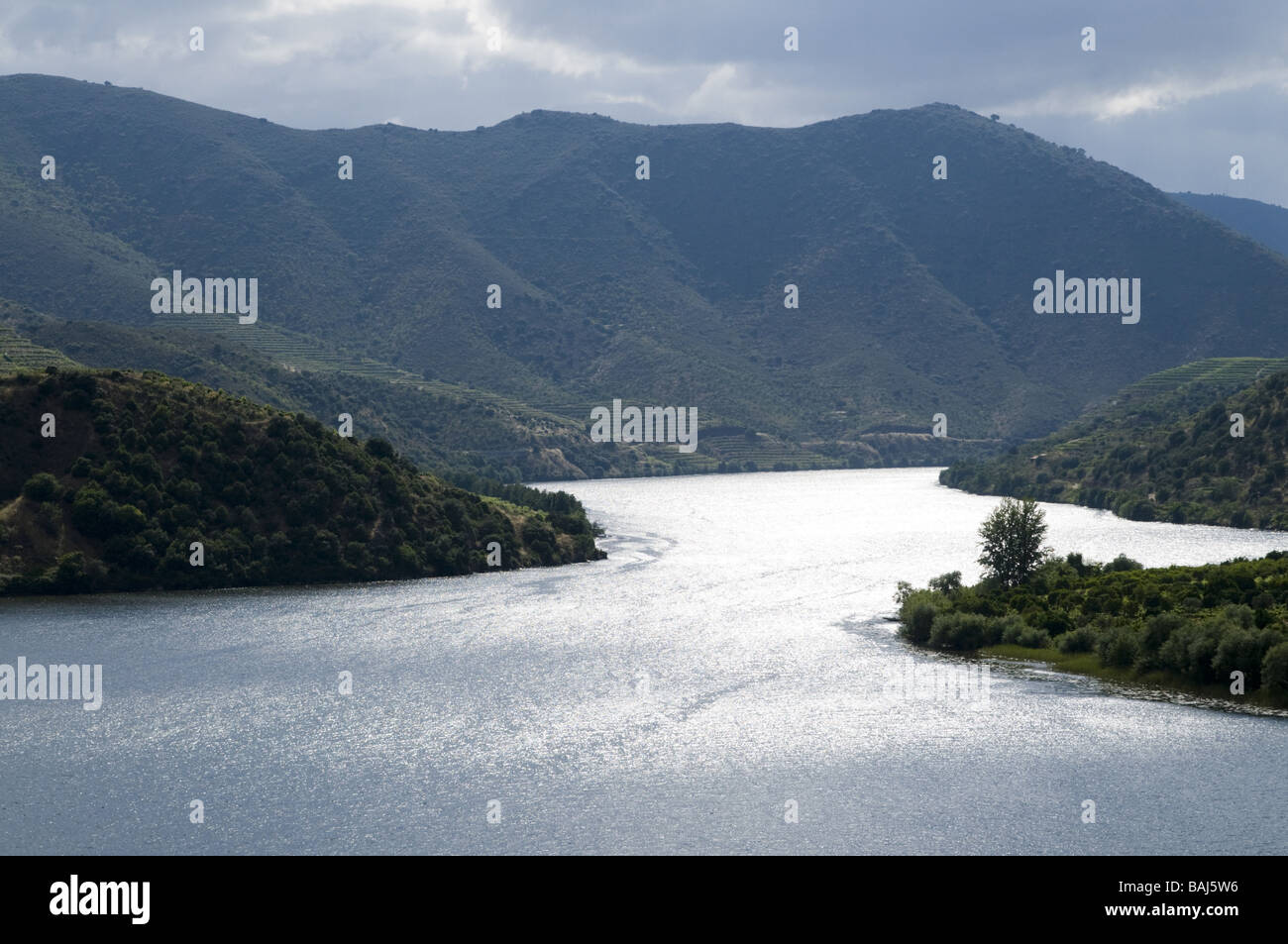 Turismo del vino nel nord del portogallo immagini e fotografie stock ad ...