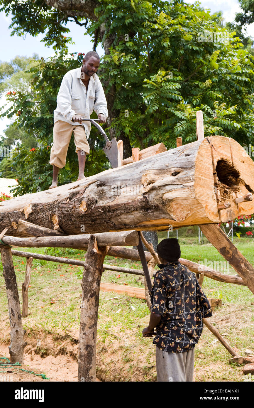 Sega africana immagini e fotografie stock ad alta risoluzione - Alamy