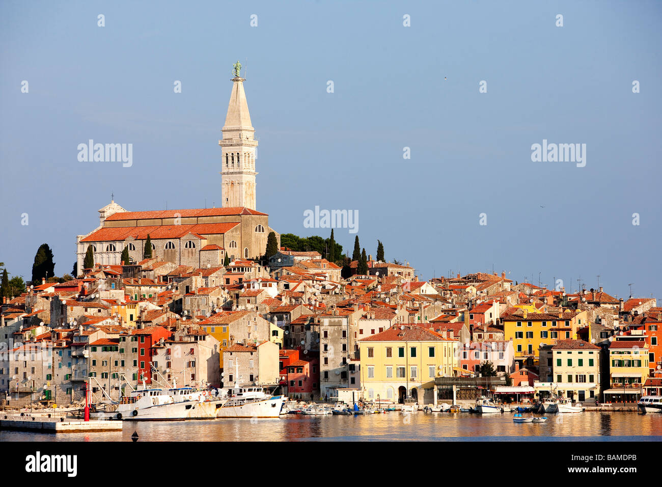 Croazia, Istria, costa adriatica, la città di Rovigno dominata dalla ...