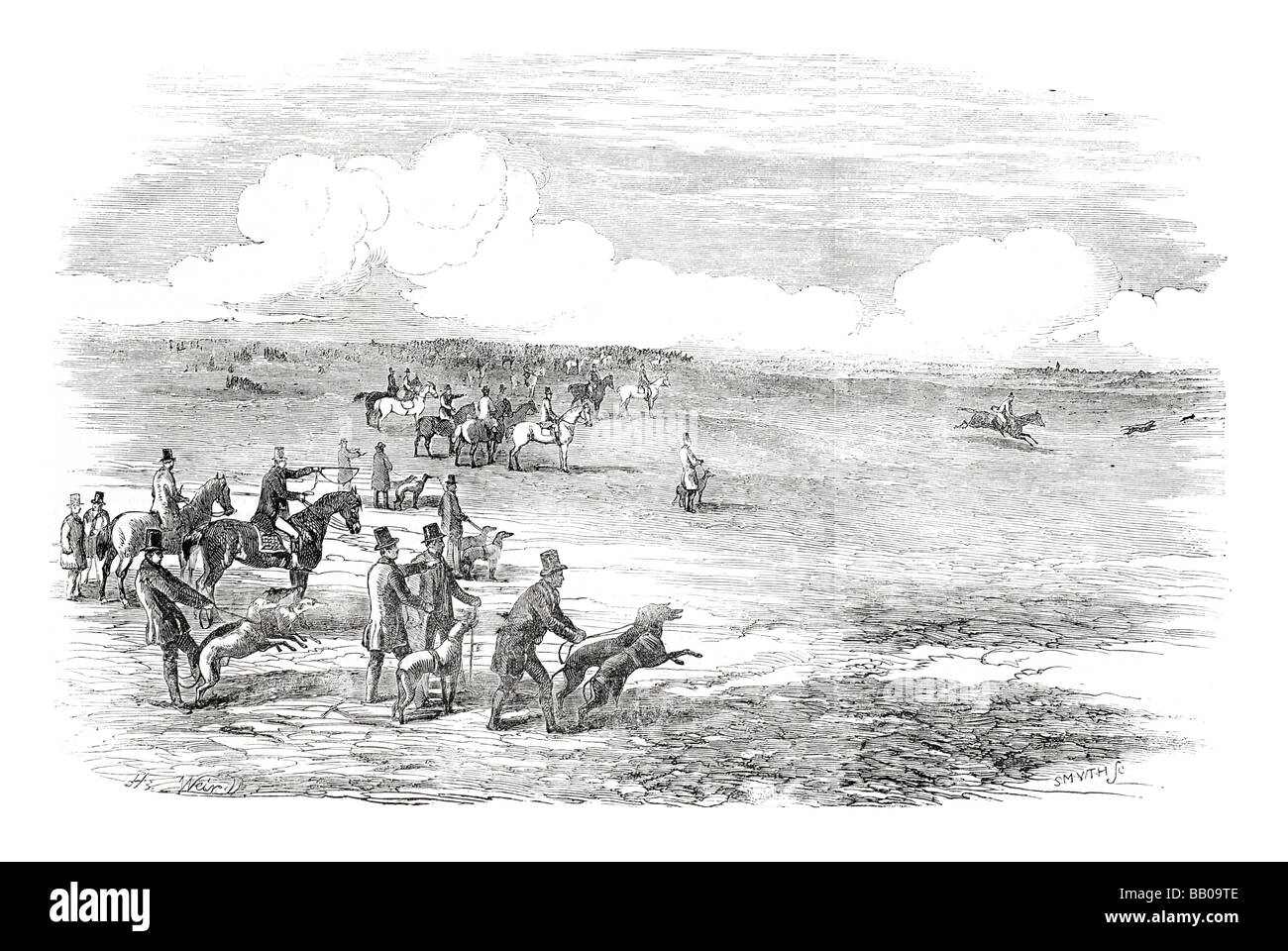 Coursing animals immagini e fotografie stock ad alta risoluzione - Alamy