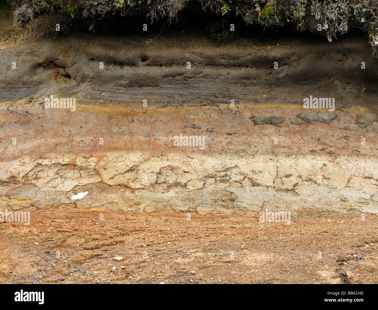 Substrato vulcanico immagini e fotografie stock ad alta risoluzione - Alamy