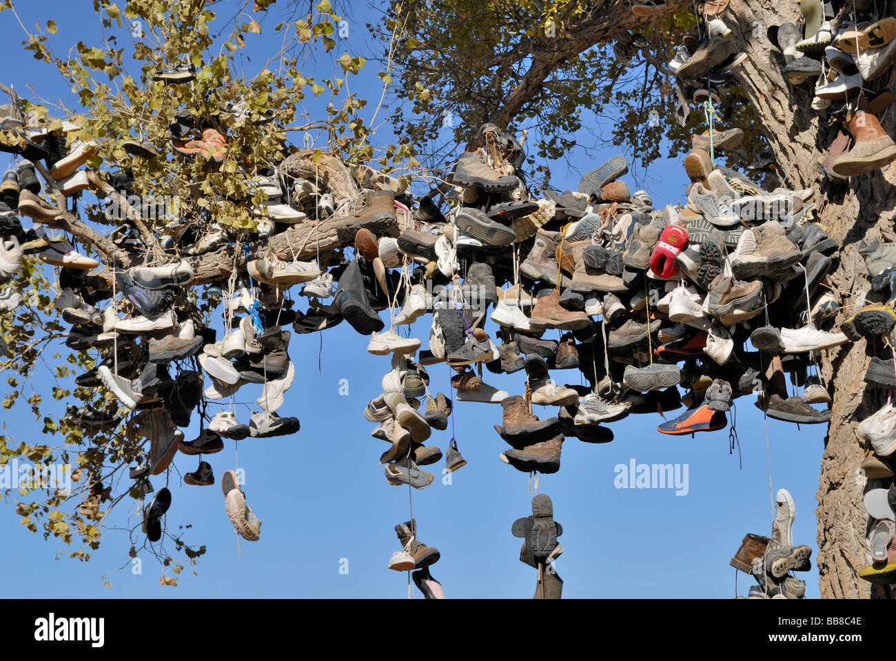Scarpe appese ai rami degli alberi immagini e fotografie stock ad alta ...