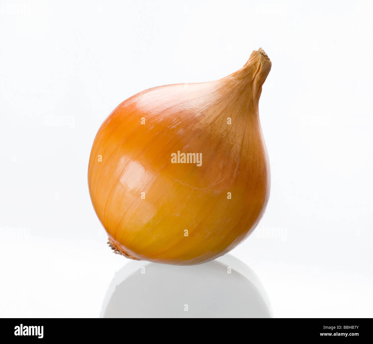 Buccia di cipolla marrone immagini e fotografie stock ad alta ...