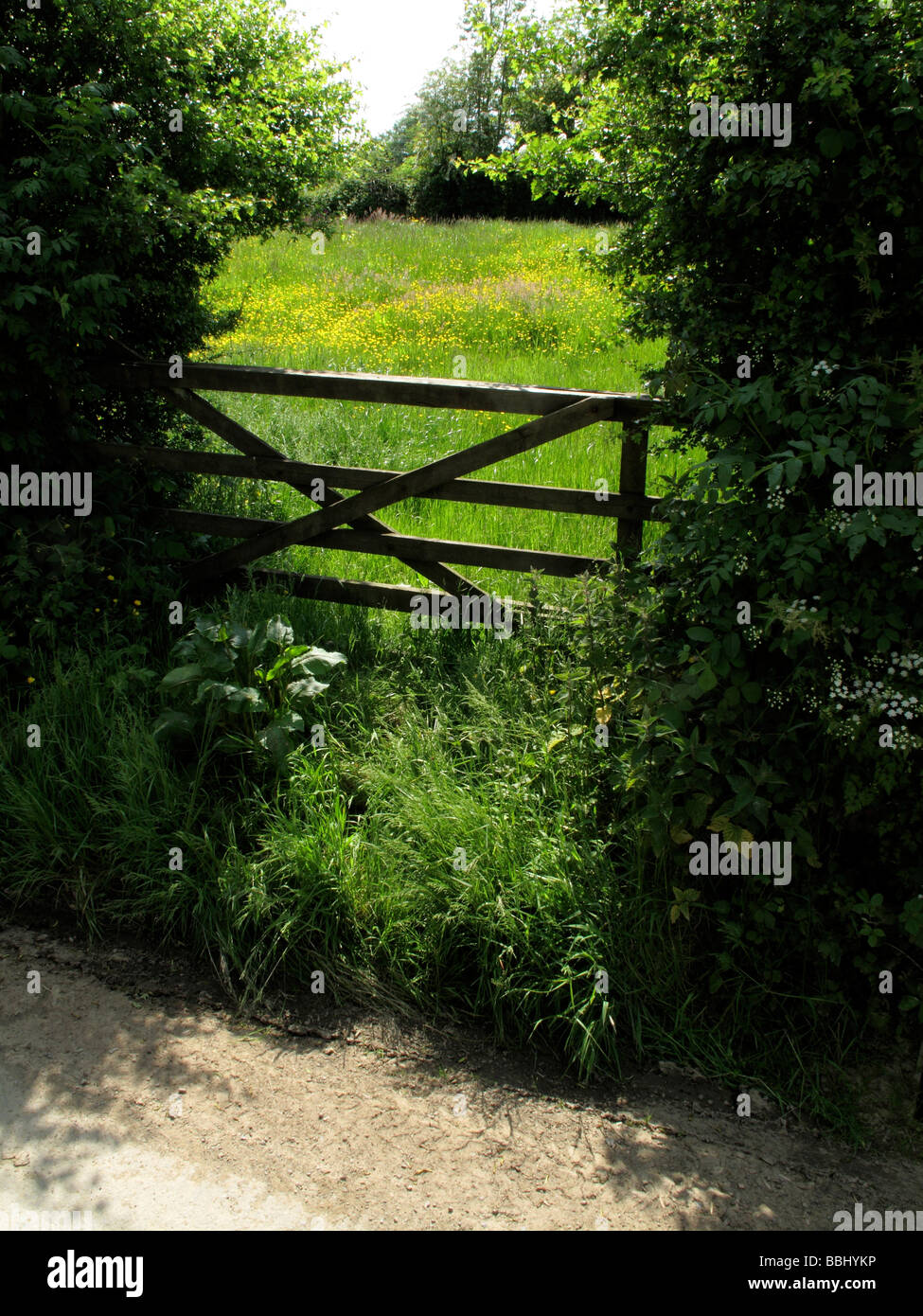 Cancello nella corsia di campagna immagini e fotografie stock ad alta ...