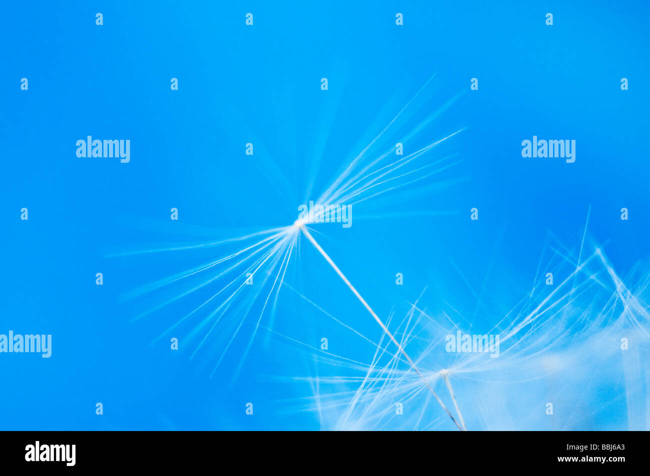 Il Soffio Del Vento Immagini e Fotos Stock - Alamy