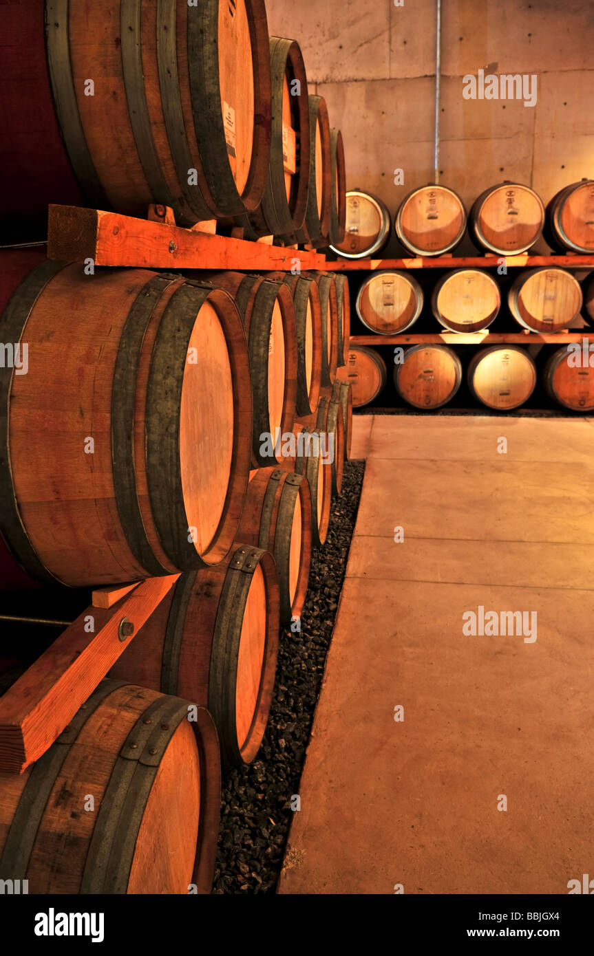 Botti di vino accatastati in cantina immagini e fotografie stock ad ...