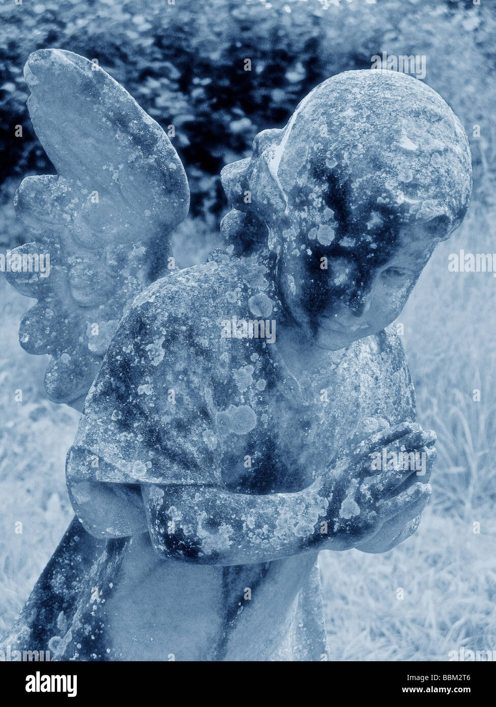 Grave, pietra tombale, tomba, memorial, cimitero, a infrarossi in ...