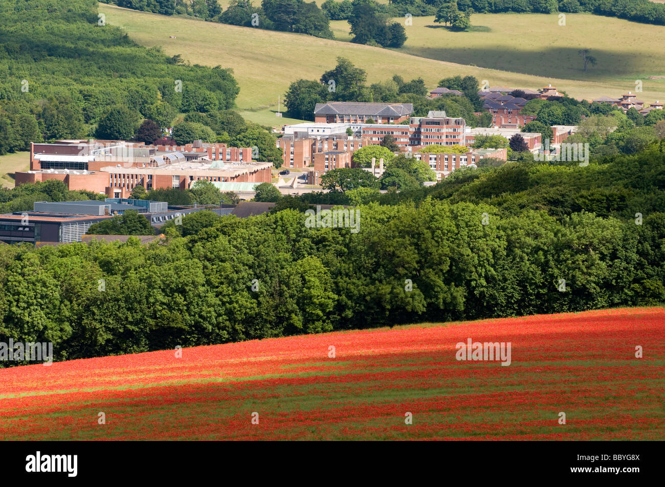 Falmer sussex immagini e fotografie stock ad alta risoluzione - Alamy