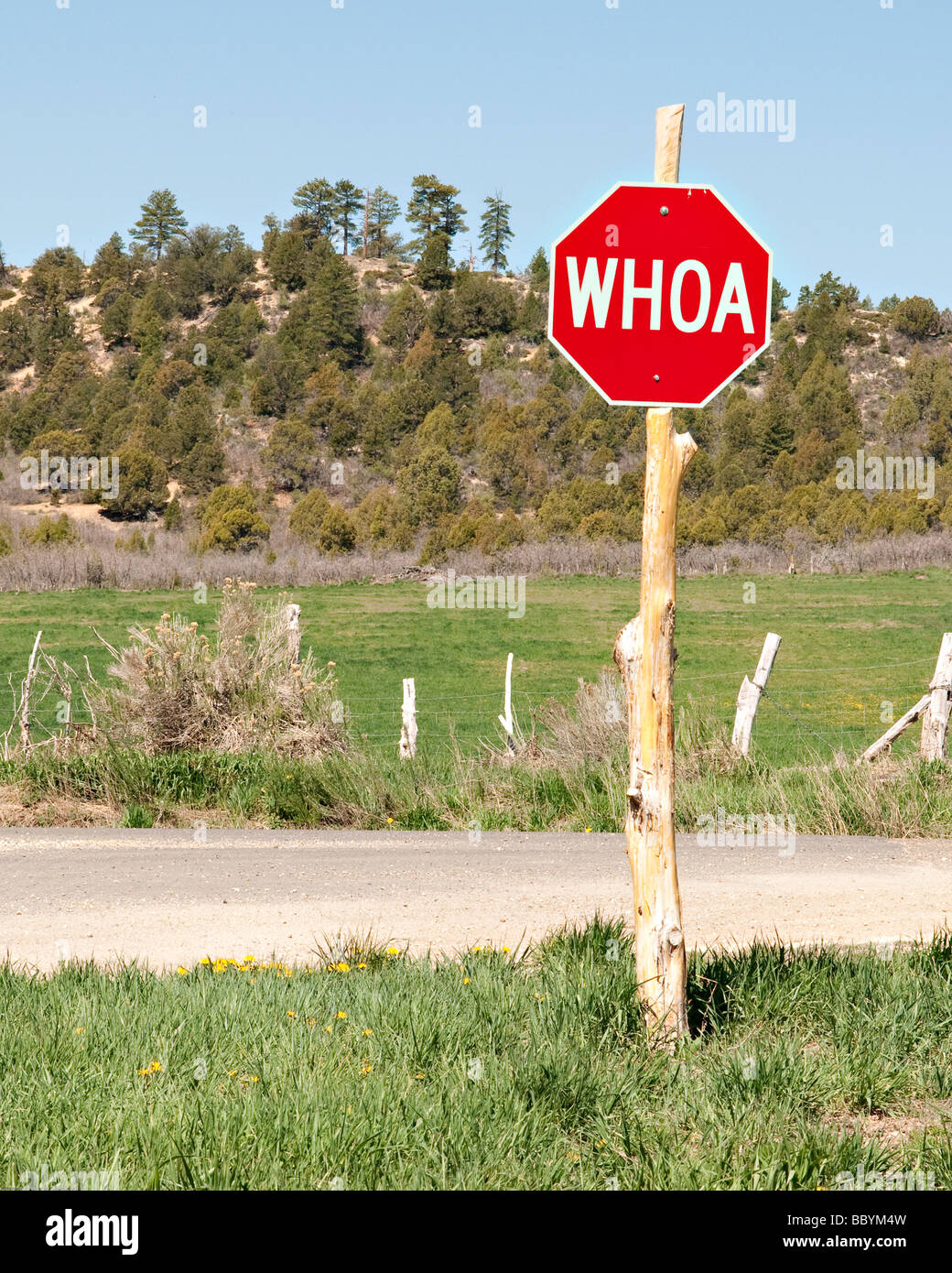 Segnale di stop del cowboy immagini e fotografie stock ad alta ...