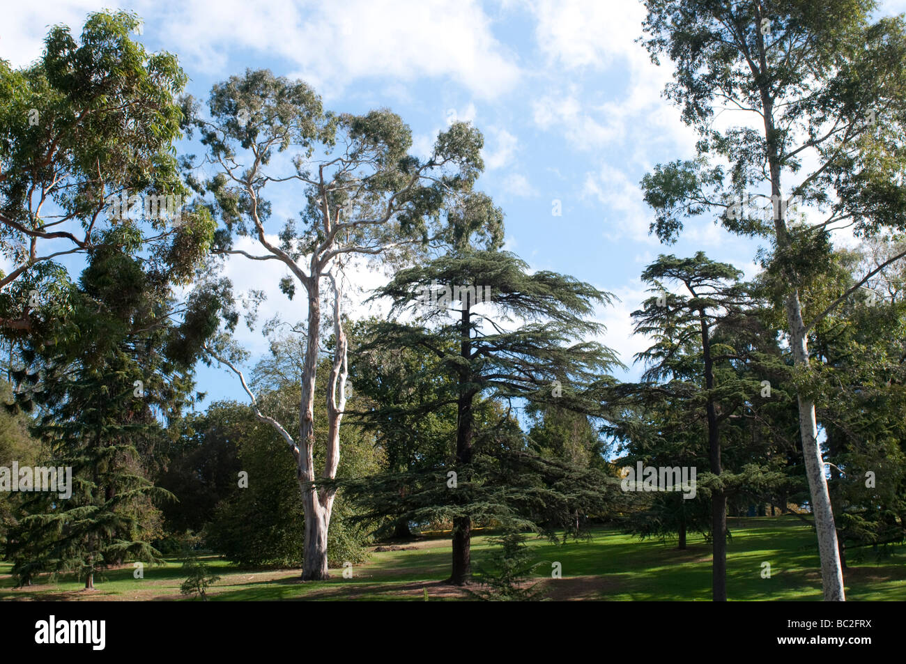 Kings park victoria immagini e fotografie stock ad alta risoluzione - Alamy