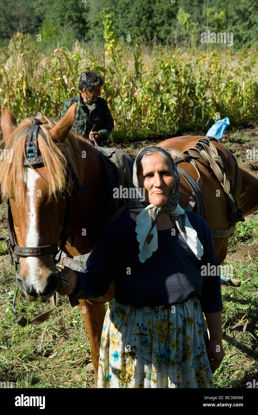 Contadini che arano immagini e fotografie stock ad alta risoluzione - Alamy
