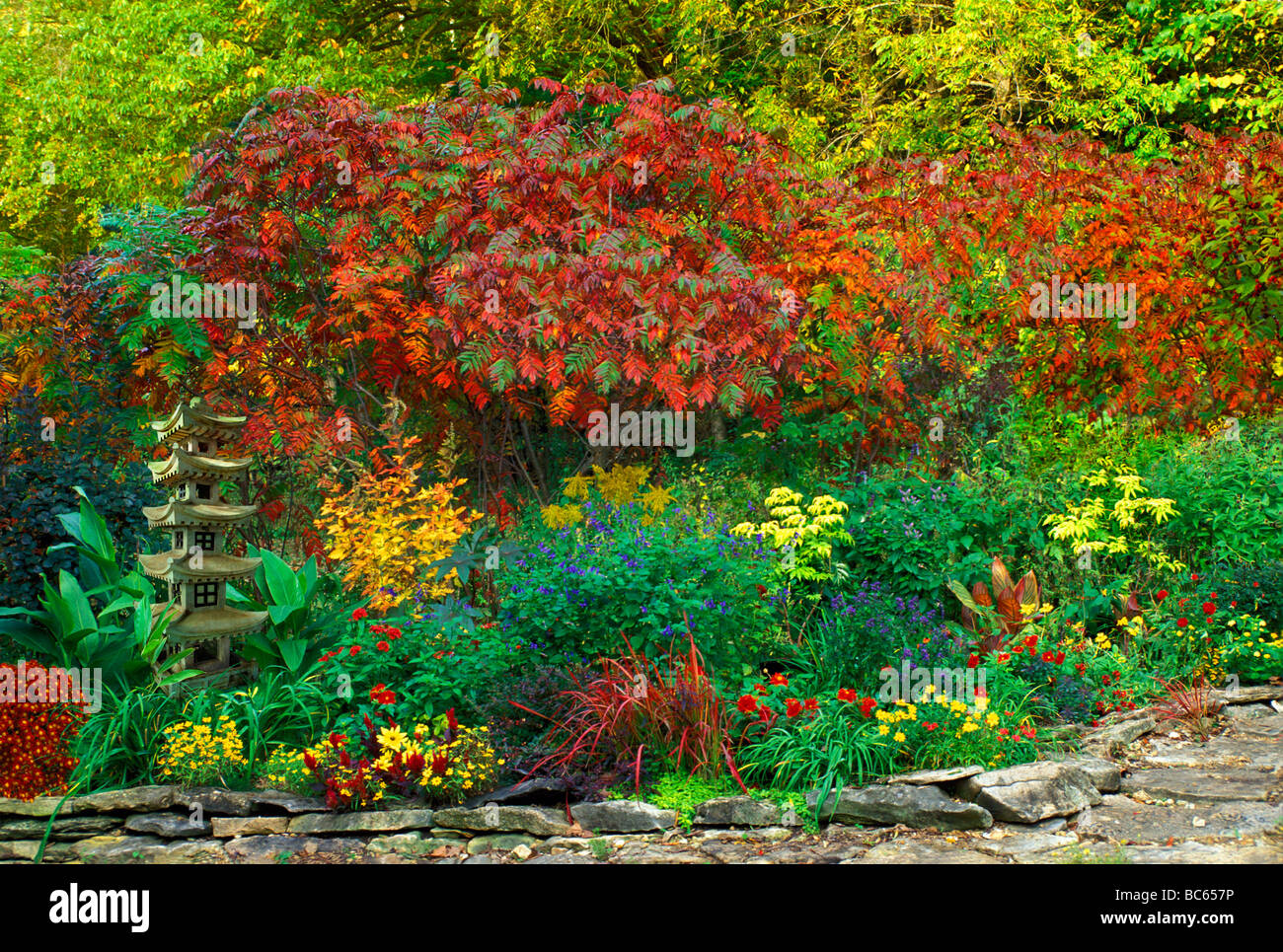 Stylized plants Immagini senza sfondo e Foto Stock ritagliate - Alamy