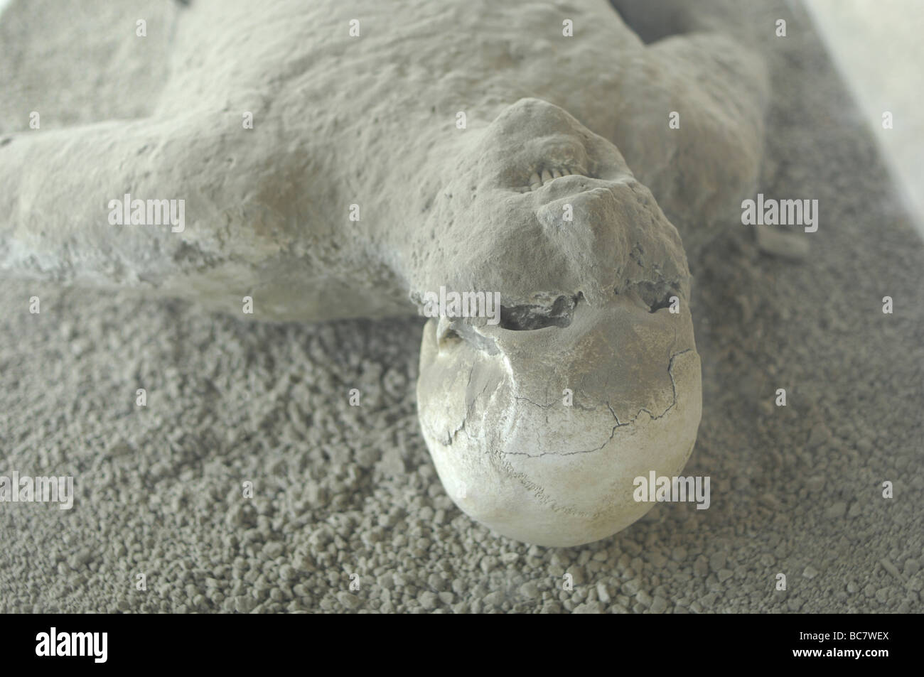 Allan morrison immagini e fotografie stock ad alta risoluzione - Alamy