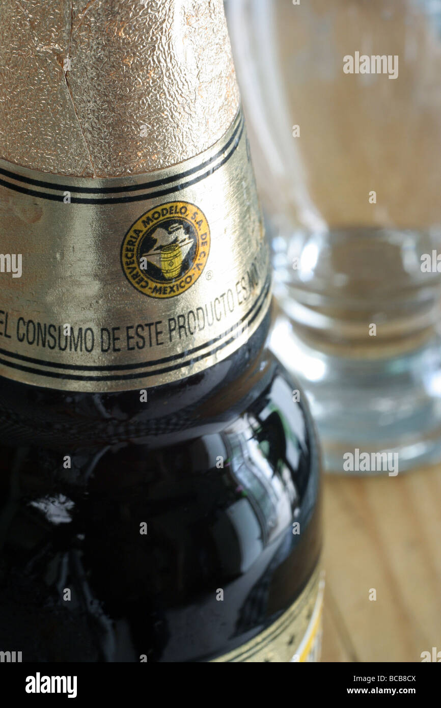 Modelo birra immagini e fotografie stock ad alta risoluzione - Alamy