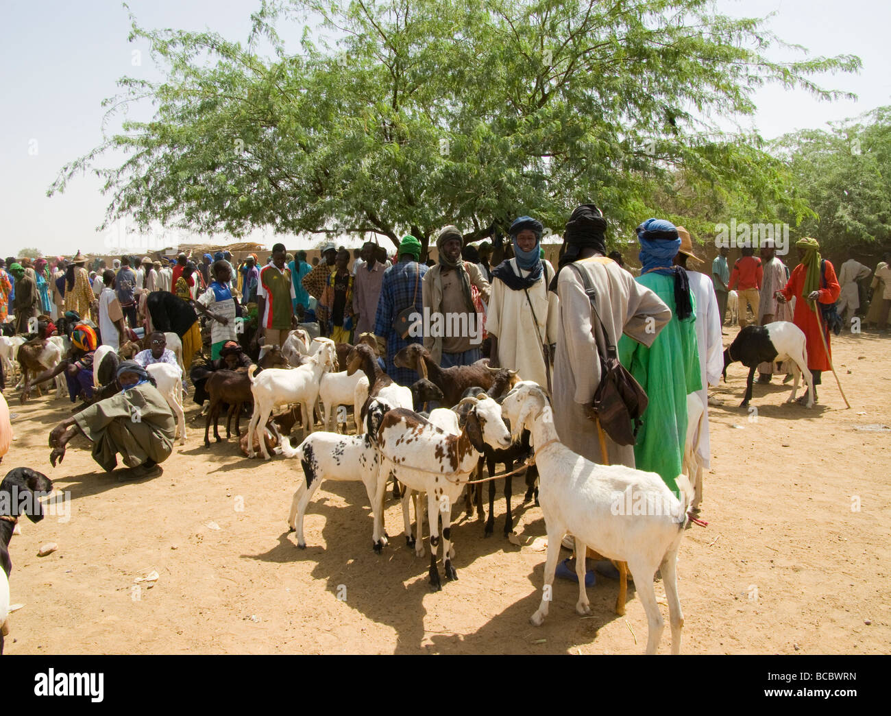 Il Burkina Faso. Il Sahel. Mercato settimanale di Gorom-Gorom.mercato ...