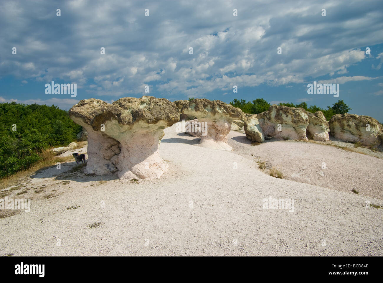 Montagna dei rodopi immagini e fotografie stock ad alta risoluzione - Alamy