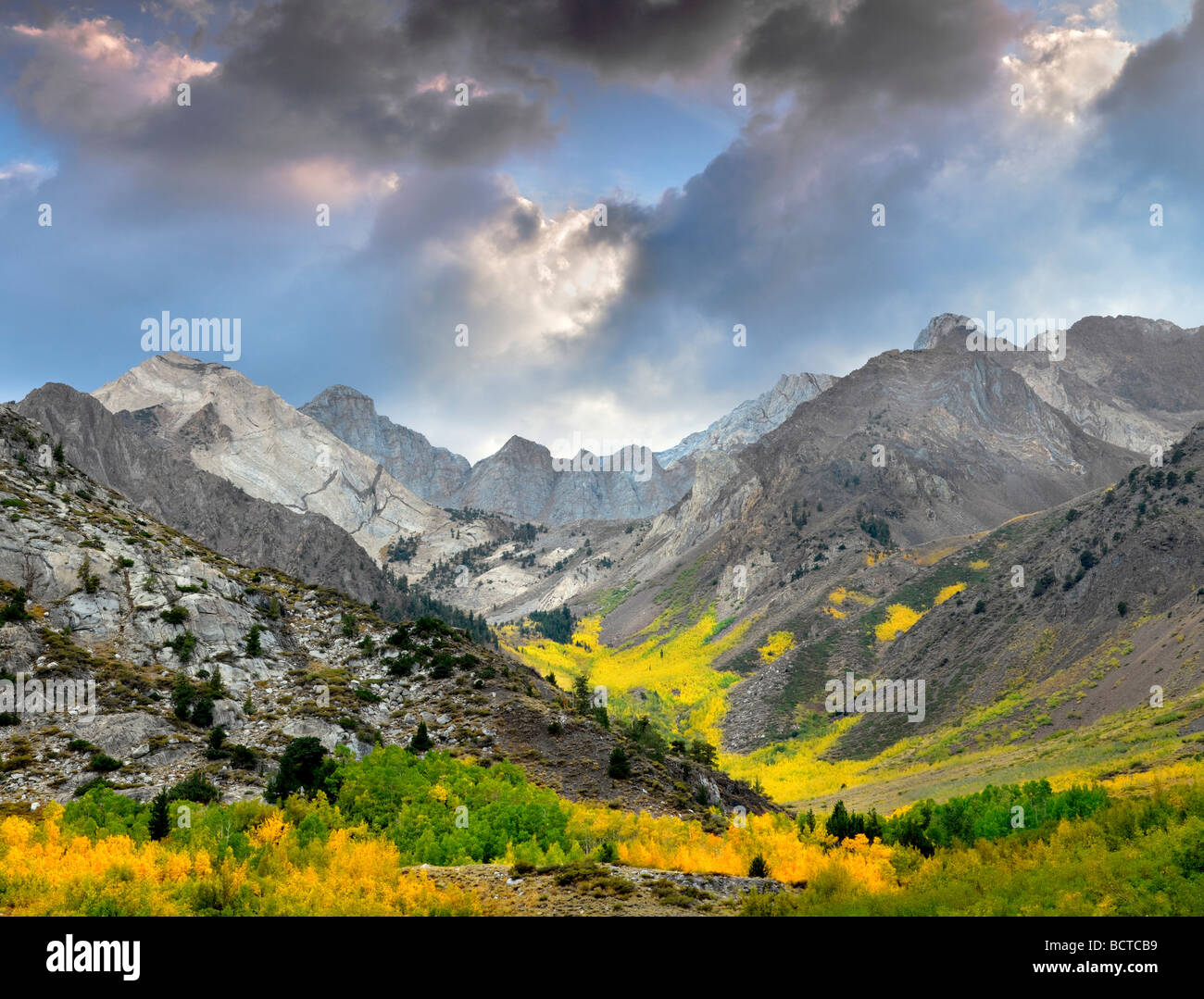 McGee Creek Canyon con fall aspens colorati di Inyo National Forest in ...