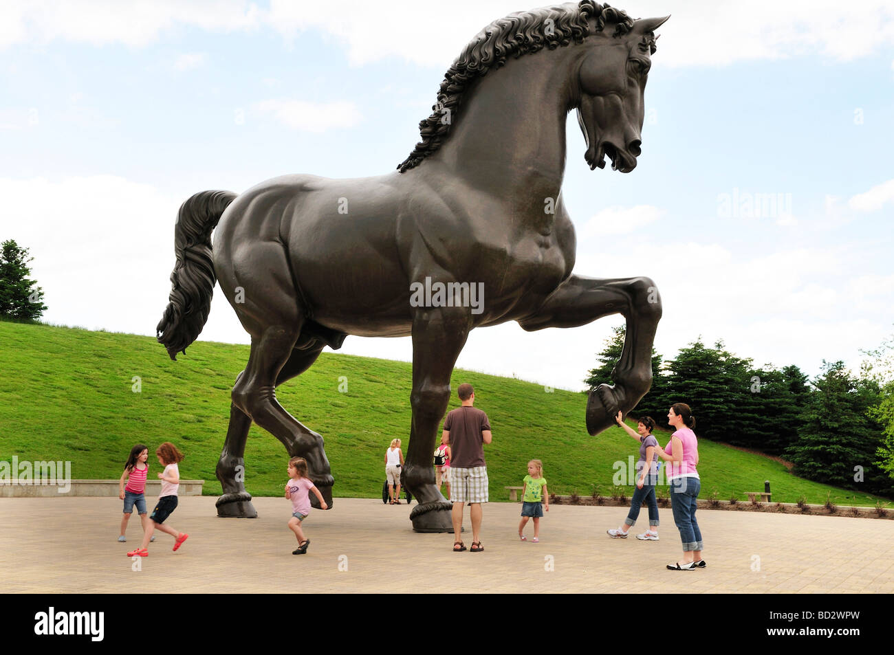Cavallo americano immagini e fotografie stock ad alta risoluzione - Alamy