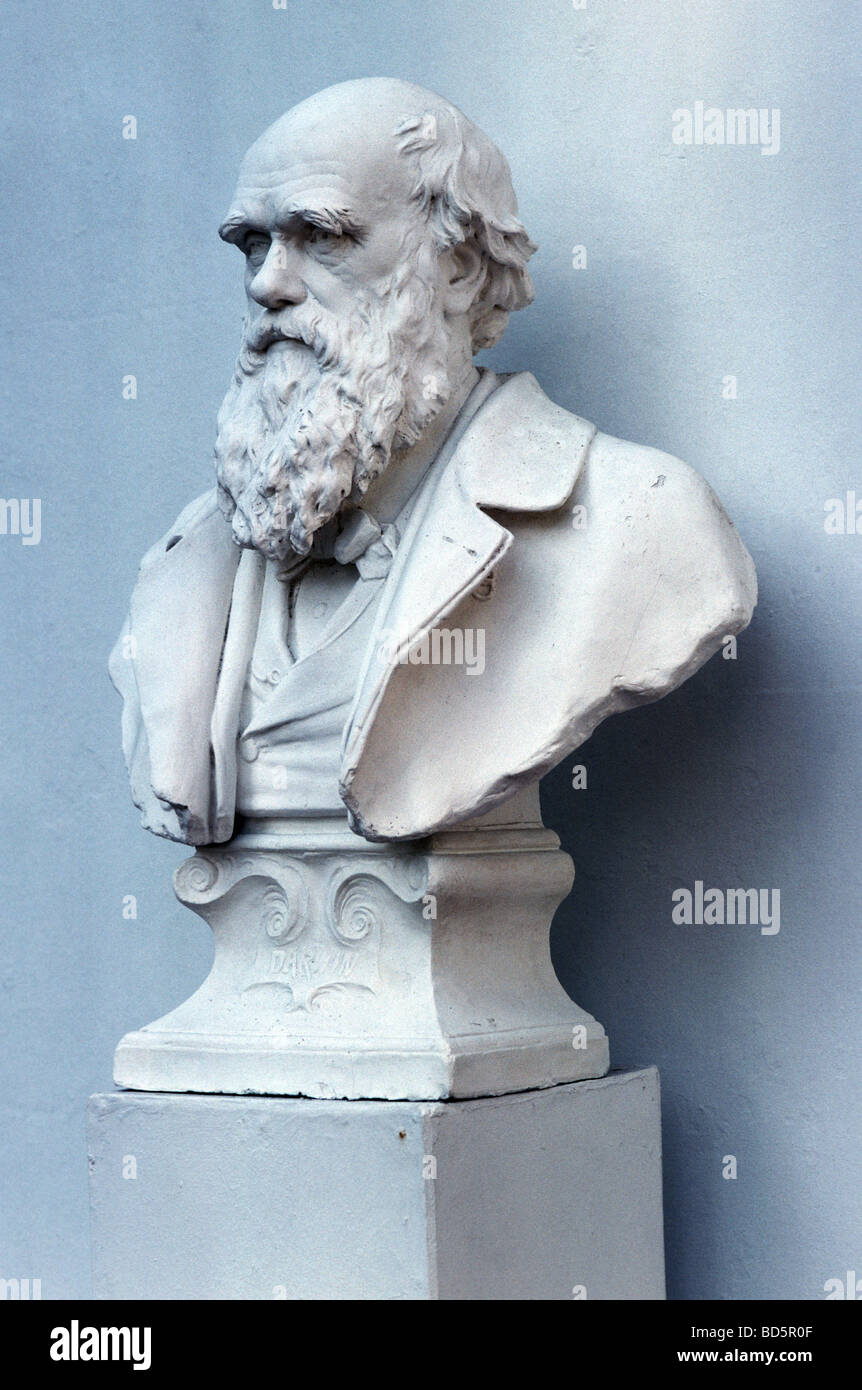 Charles darwin evolution theory immagini e fotografie stock ad alta ...