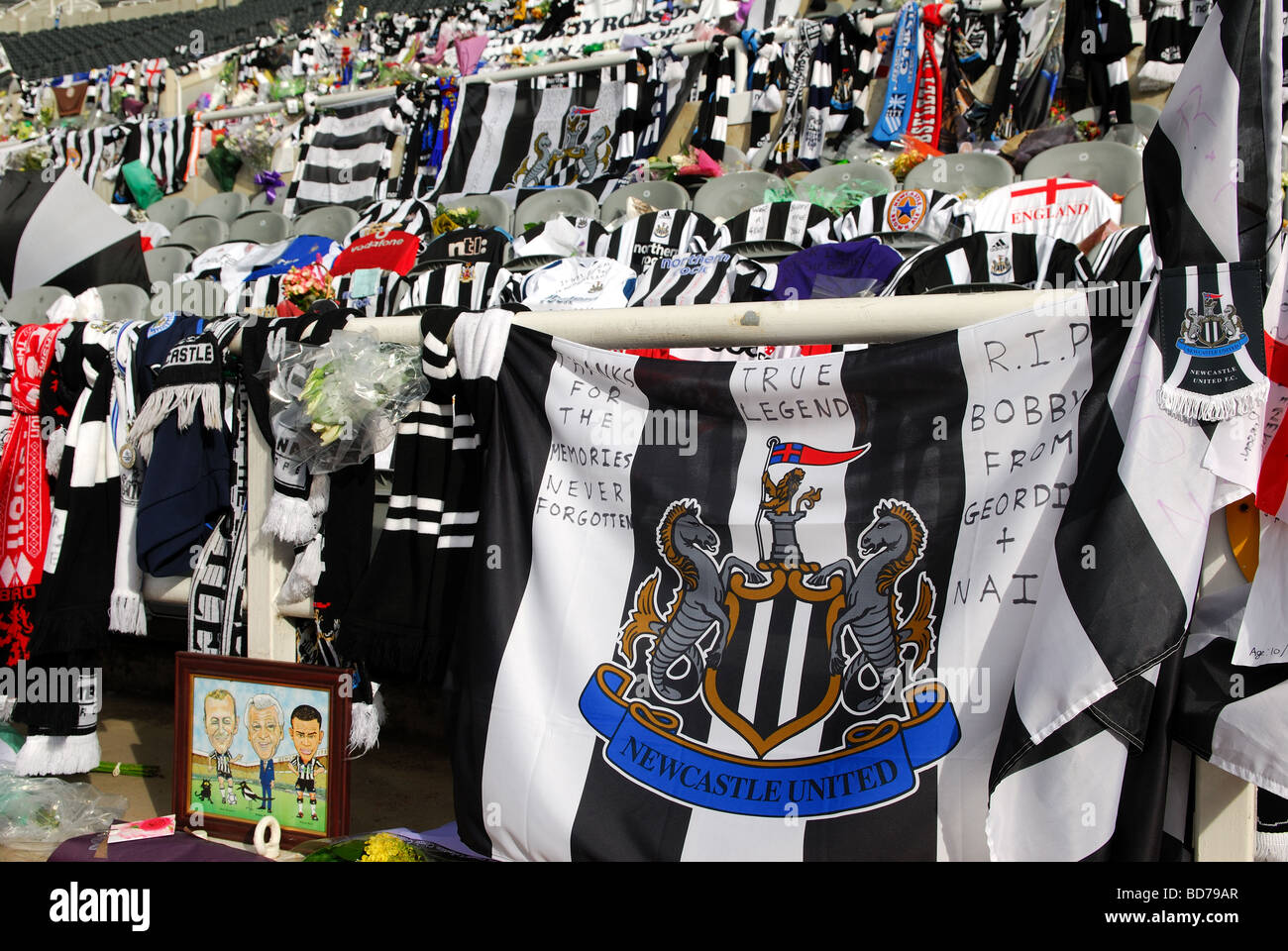 Memorial robson immagini e fotografie stock ad alta risoluzione - Alamy