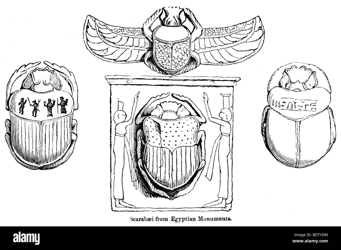 Scarabeo egiziano disegno immagini e fotografie stock ad alta ...