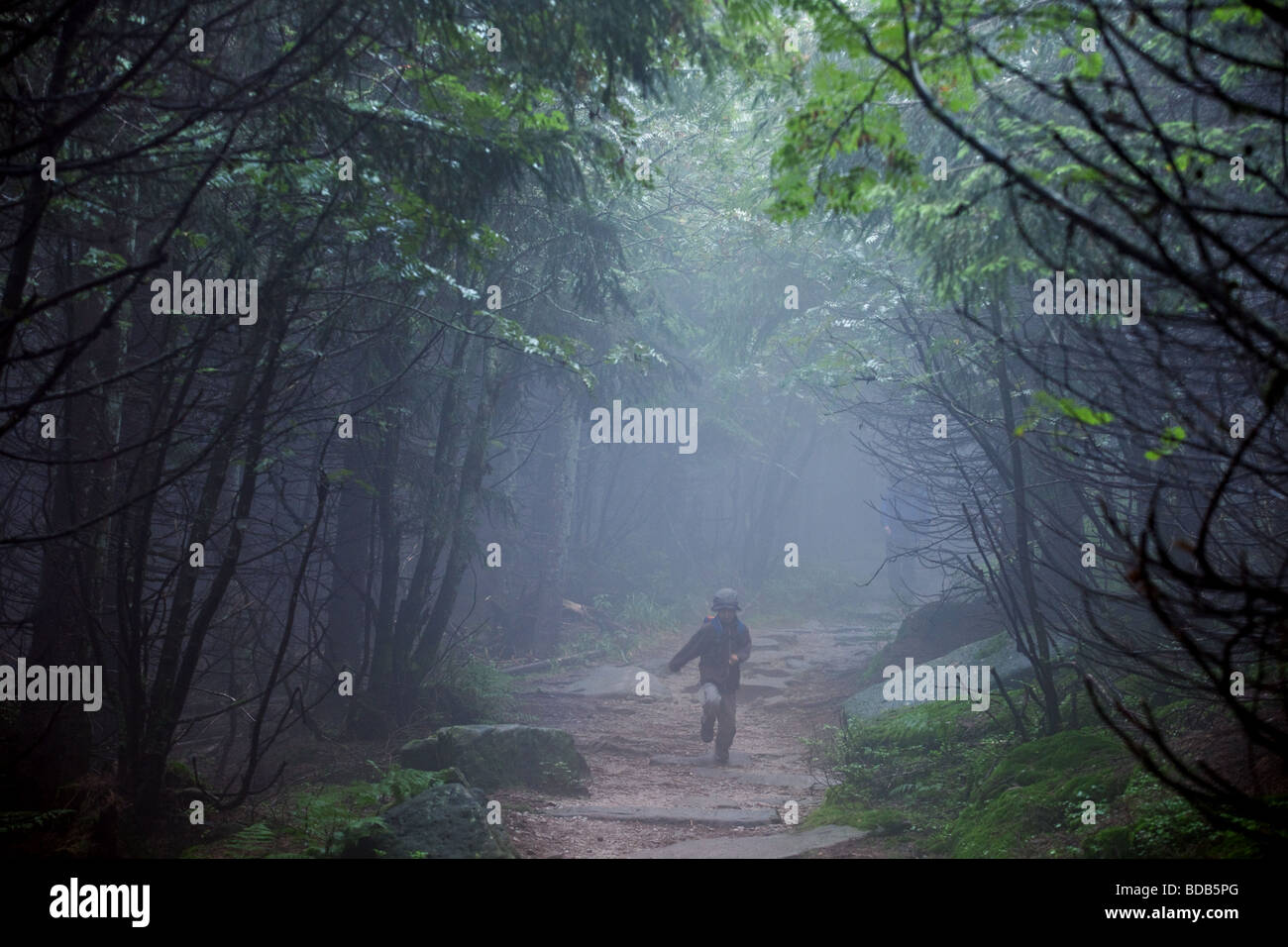 Selva nera germania immagini e fotografie stock ad alta risoluzione - Alamy