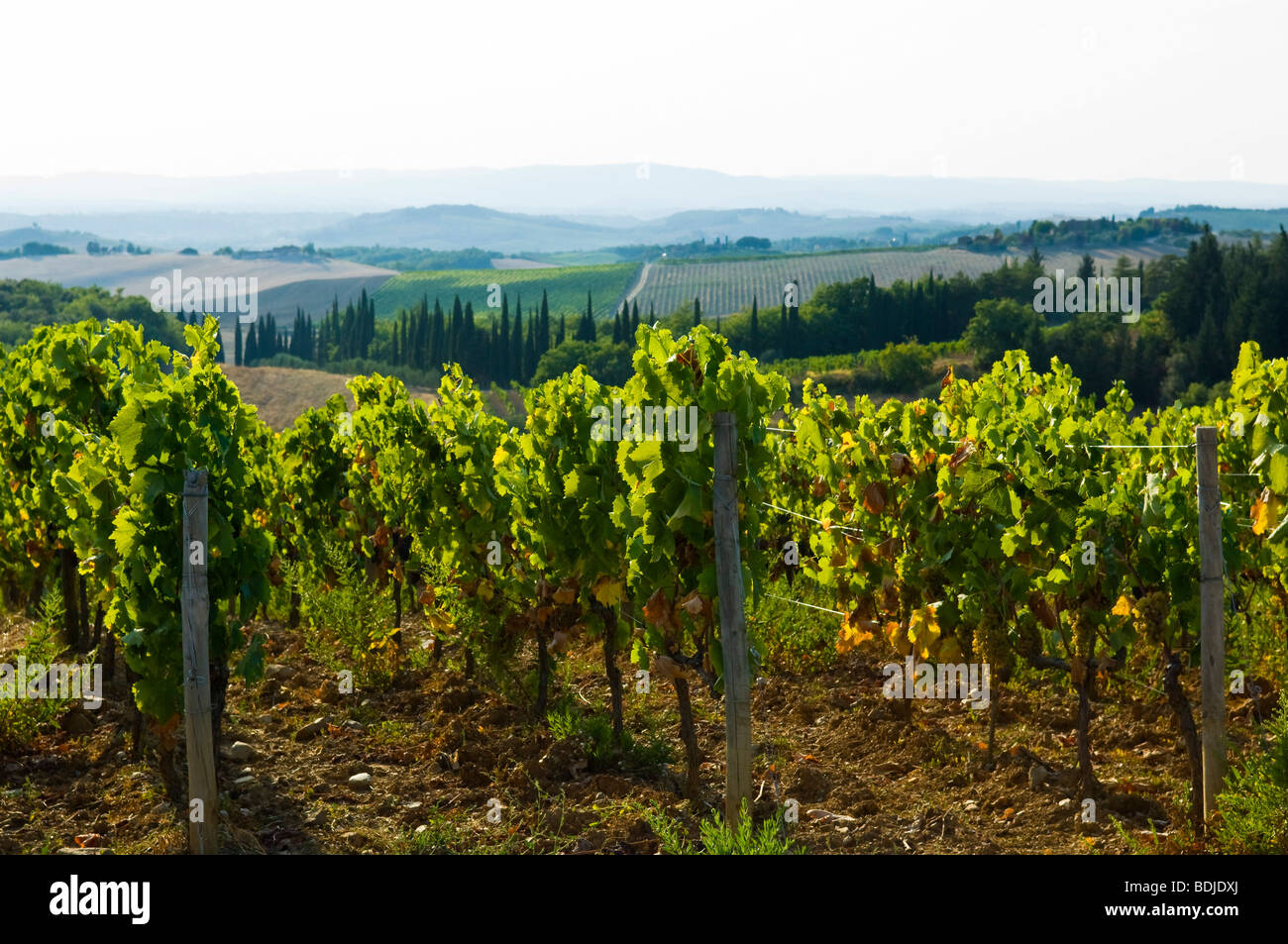 Cose da vedere in toscana immagini e fotografie stock ad alta ...