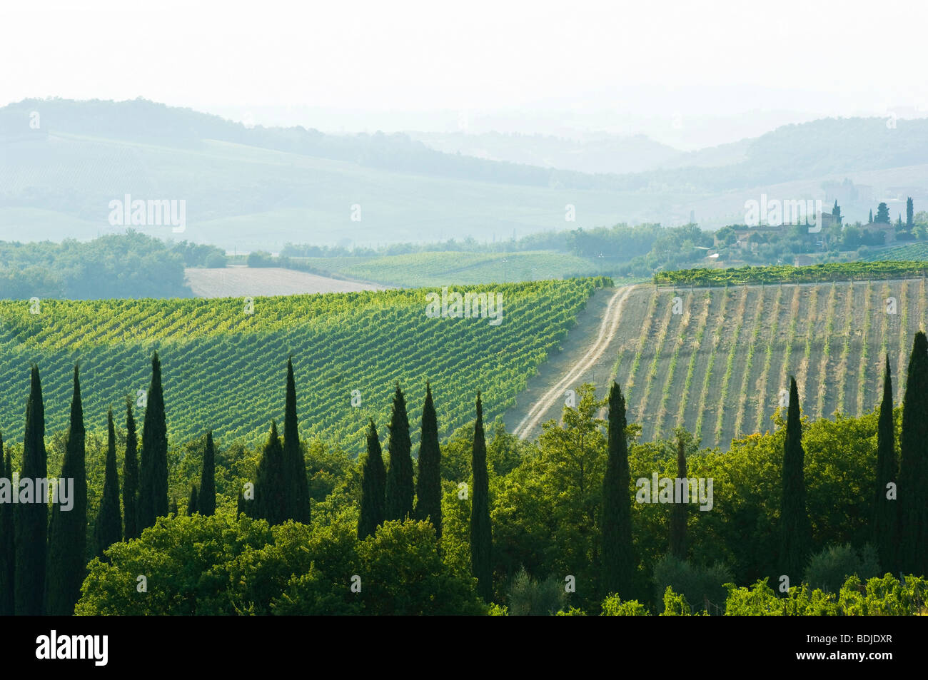 Cose da vedere in toscana immagini e fotografie stock ad alta ...