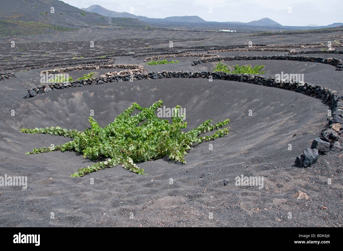 Terreno vulcanico immagini e fotografie stock ad alta risoluzione - Alamy
