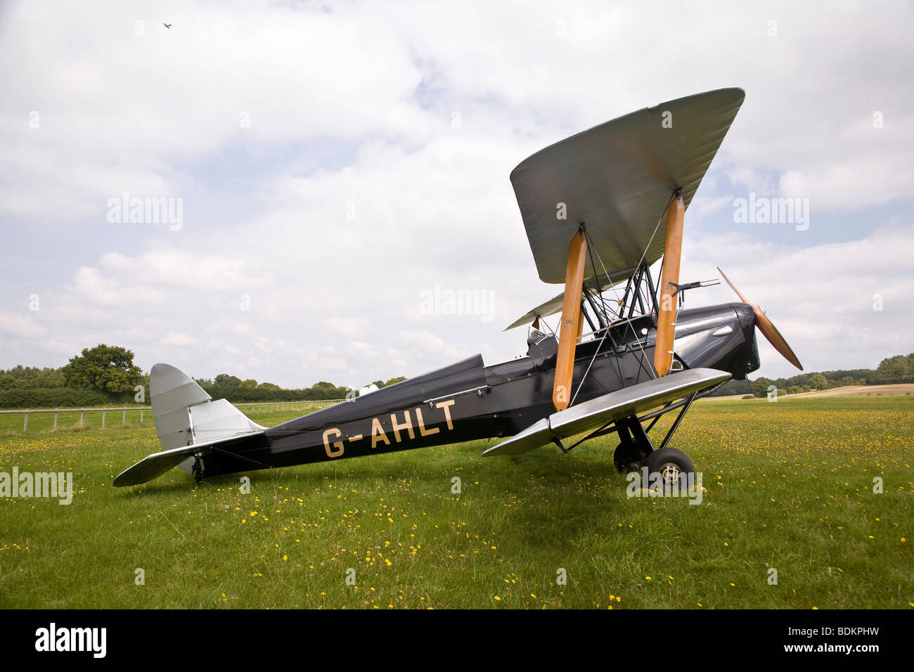 Dh 82a tigre falena ii immagini e fotografie stock ad alta risoluzione ...