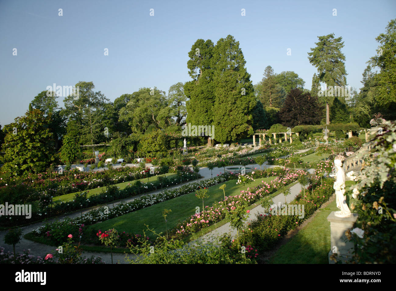 Giardino di Rose, Isola di Mainau, Lago di Costanza, costanza distretto ...