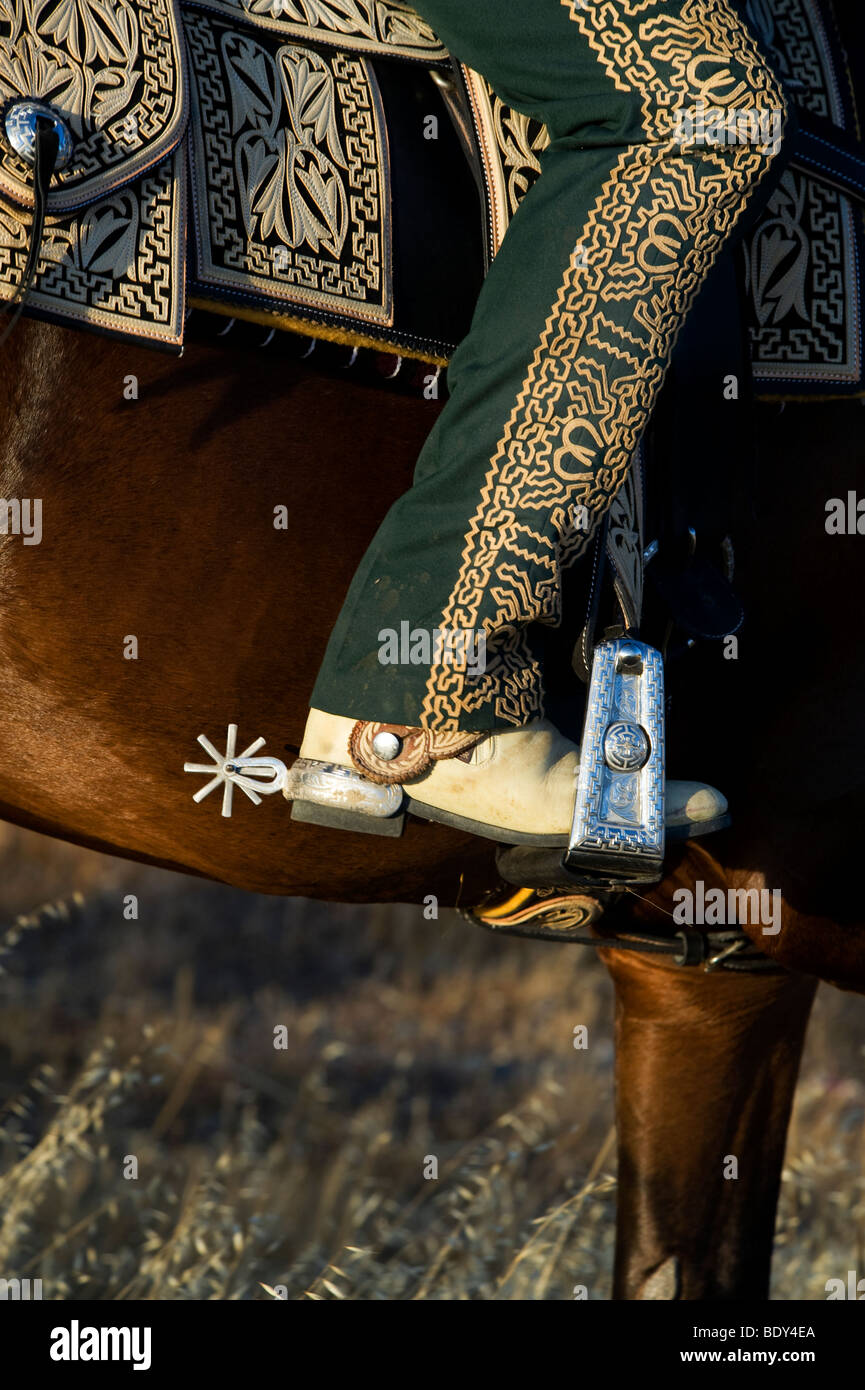 Sperone Icona Immagini e Fotos Stock - Alamy