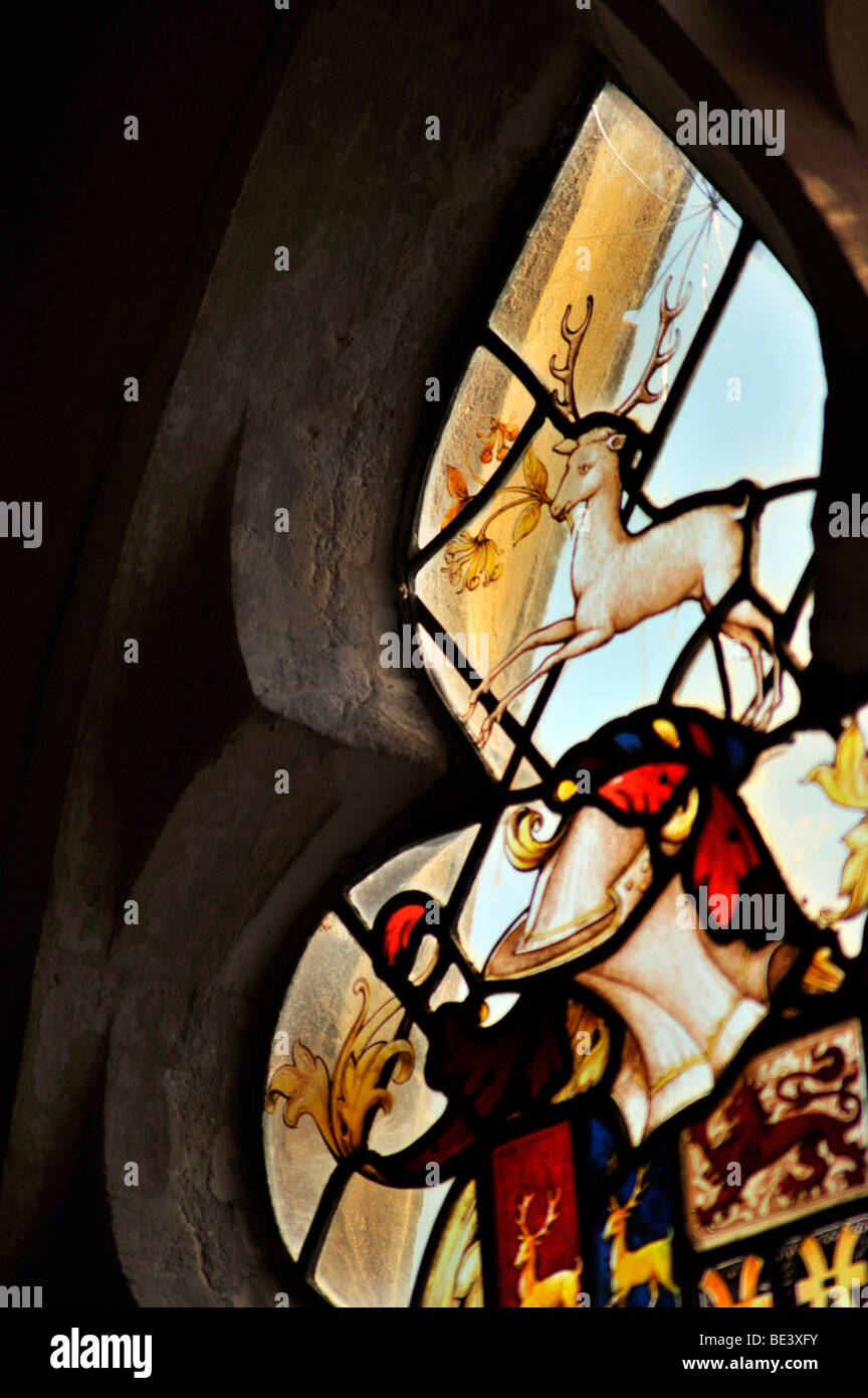 Medieval coat of arms immagini e fotografie stock ad alta risoluzione ...