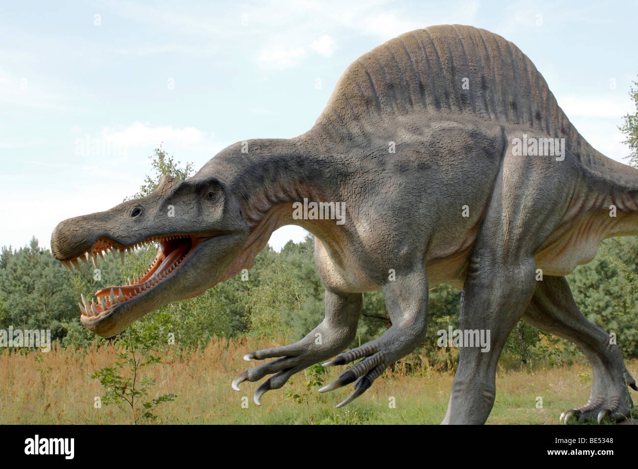 Replica di spinosauro immagini e fotografie stock ad alta risoluzione ...