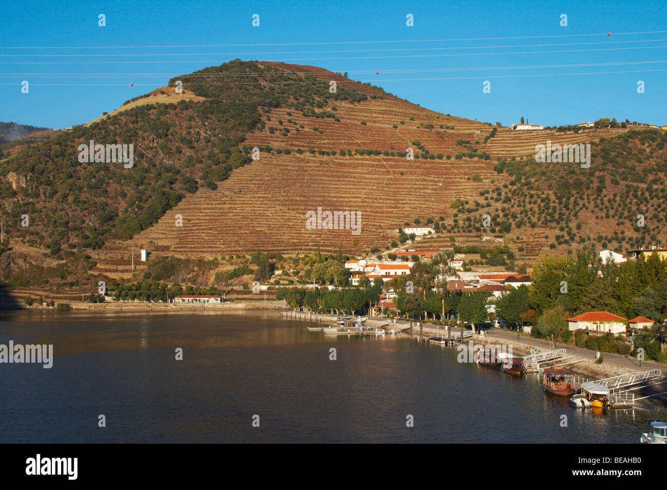 Douro vigneti Immagini e Fotos Stock - Alamy