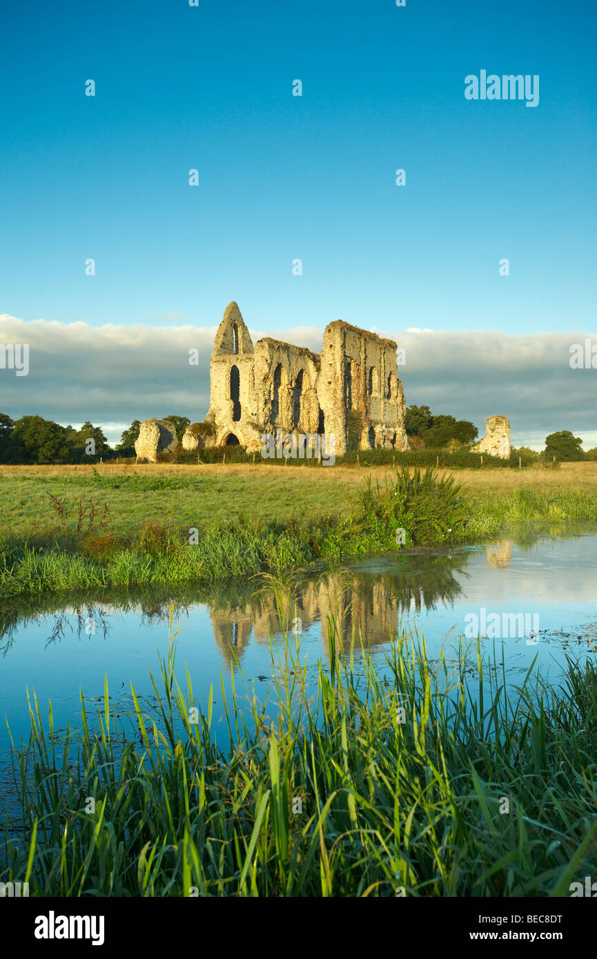 Newark priory immagini e fotografie stock ad alta risoluzione - Alamy