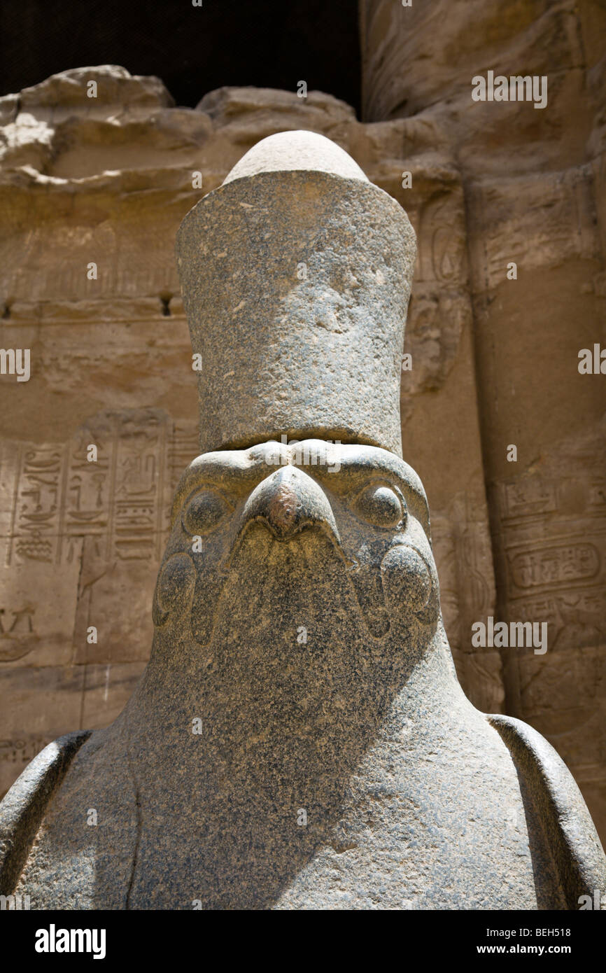 Statua di un falco al tempio di horus immagini e fotografie stock ad ...