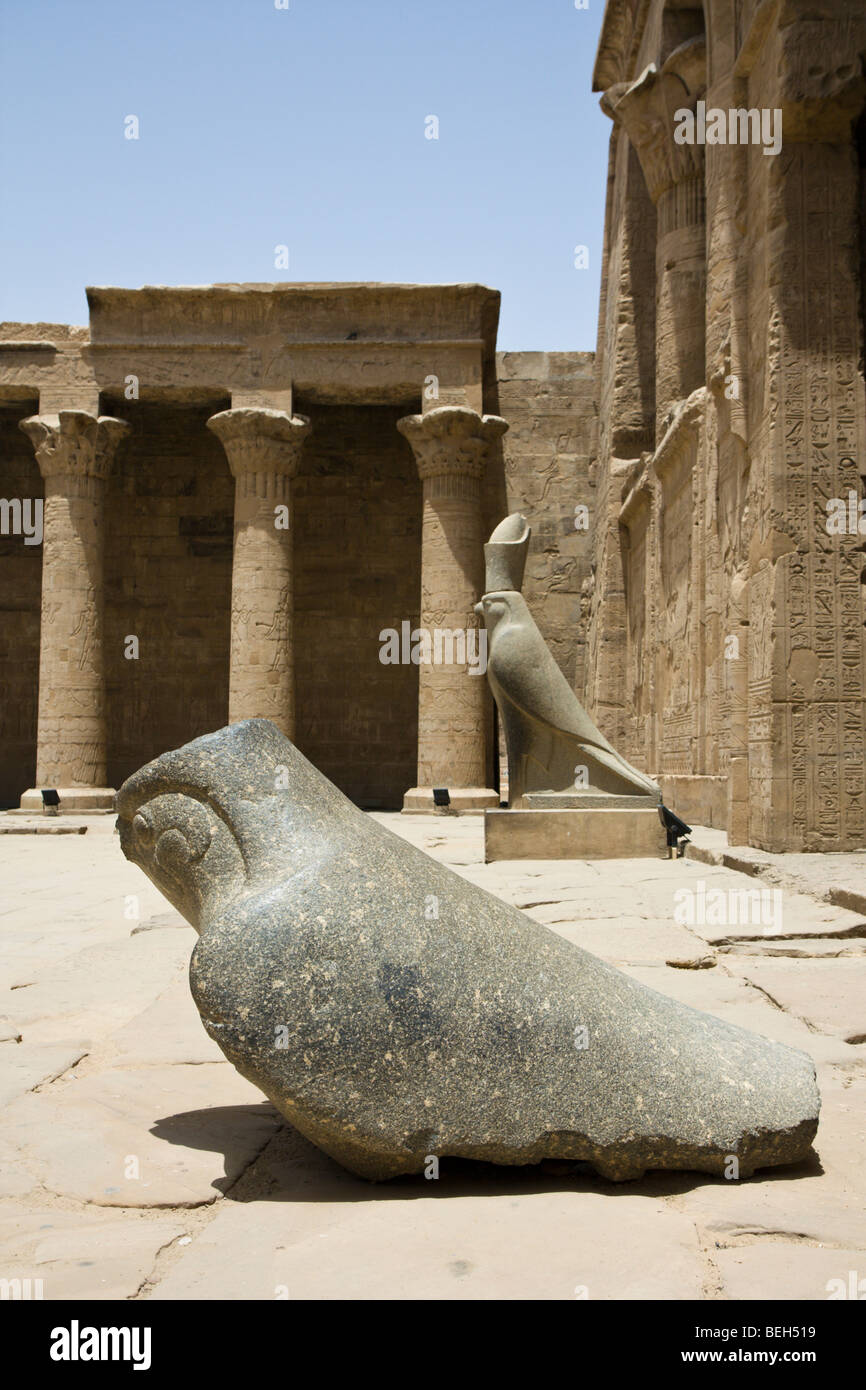 Statua di un falco al tempio di horus immagini e fotografie stock ad ...