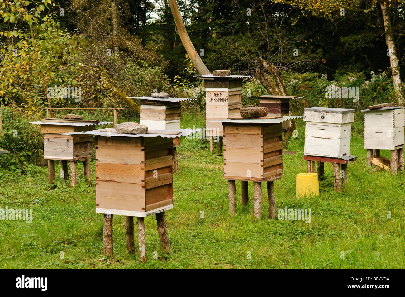 Apiario Di Alveari In Legno Immagini e Fotos Stock - Alamy