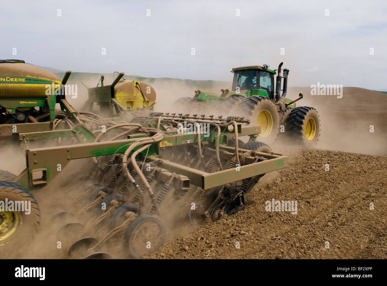 Coltivazioni di ceci immagini e fotografie stock ad alta risoluzione ...