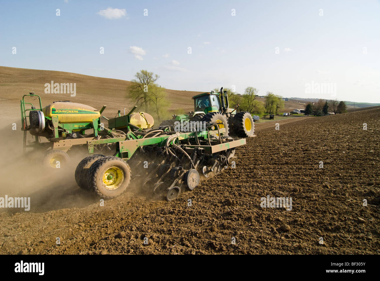 Coltivazioni di ceci immagini e fotografie stock ad alta risoluzione ...