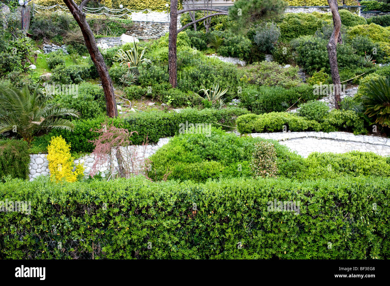 Macchia mediterranea immagini e fotografie stock ad alta risoluzione ...