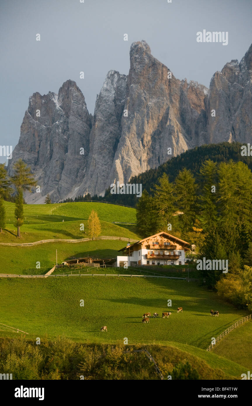 Puez odle park immagini e fotografie stock ad alta risoluzione - Alamy
