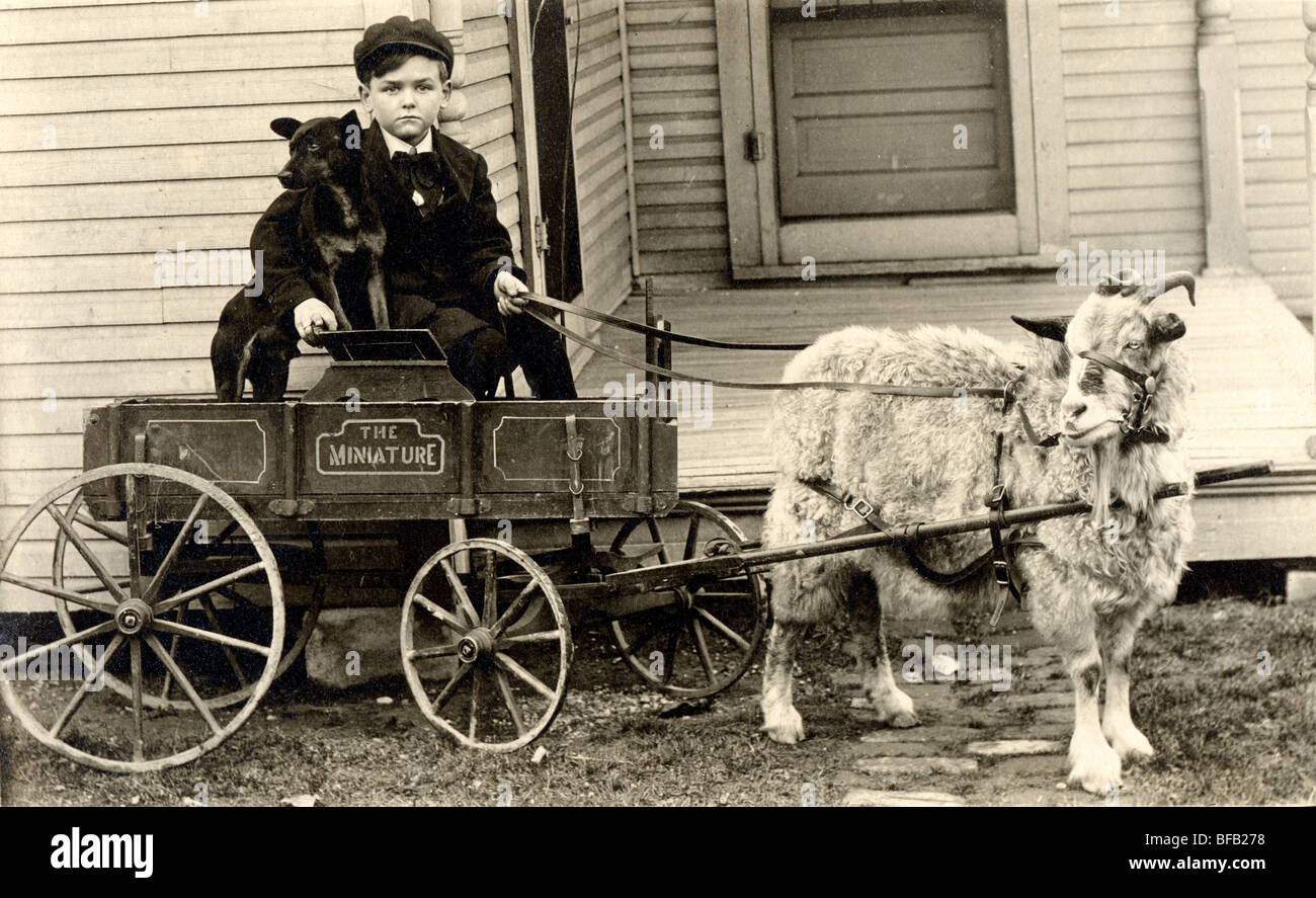 Carretto trainato da cani immagini e fotografie stock ad alta ...