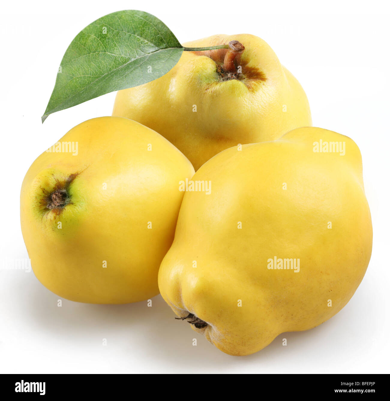 Come mela cotogna immagini e fotografie stock ad alta risoluzione - Alamy