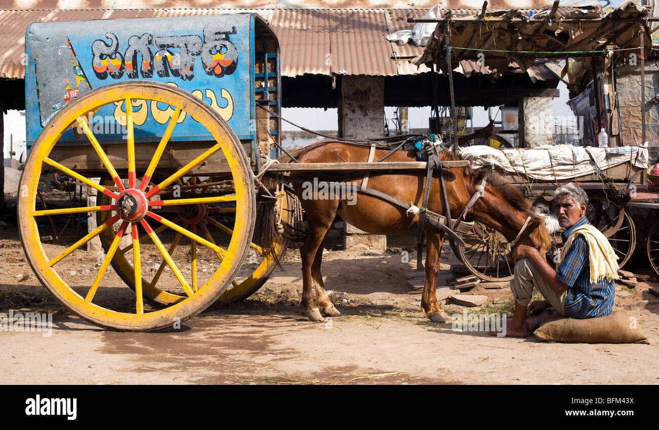 Horse cartwheel immagini e fotografie stock ad alta risoluzione - Alamy