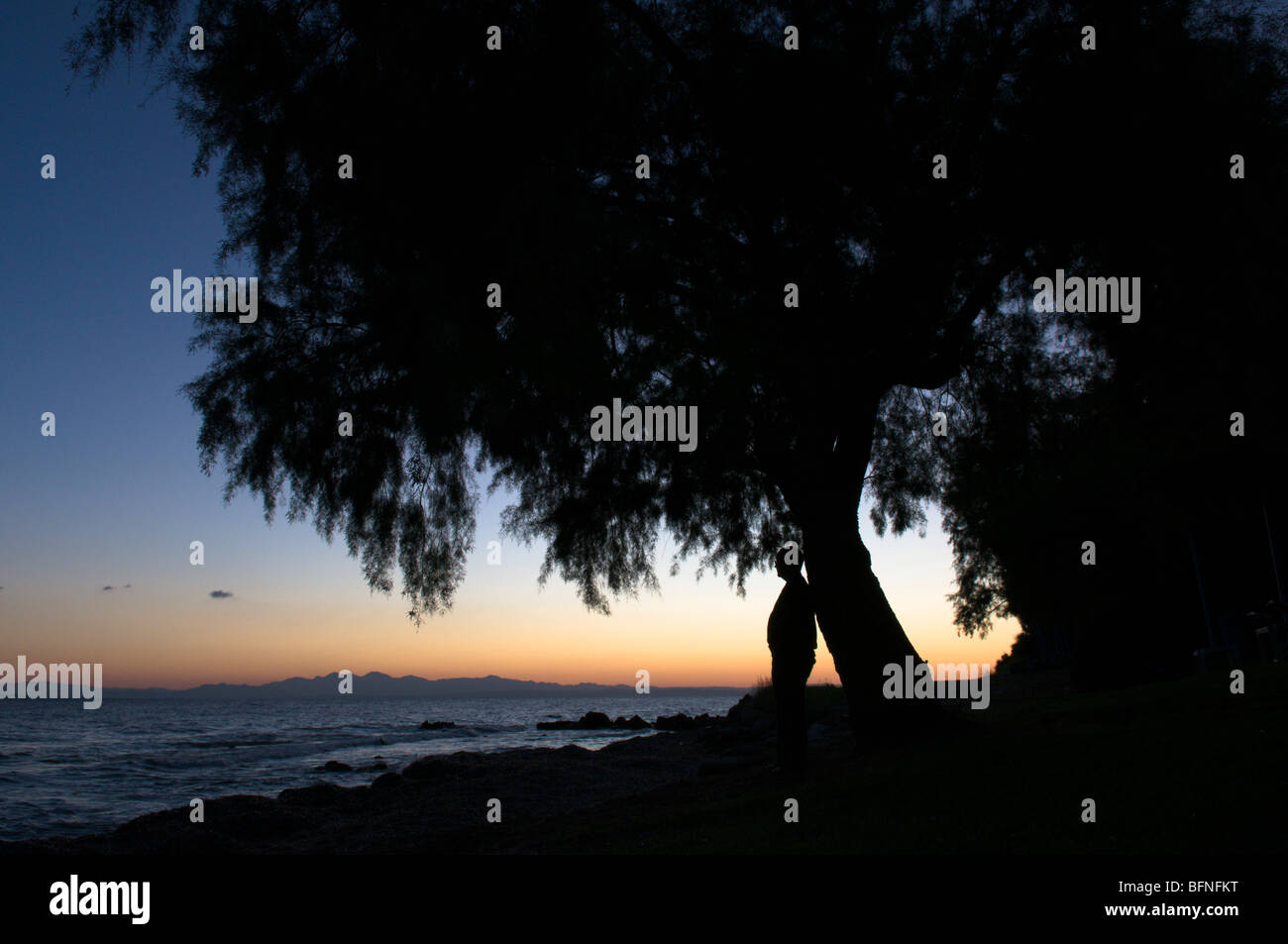 Albero di tamerici immagini e fotografie stock ad alta risoluzione - Alamy