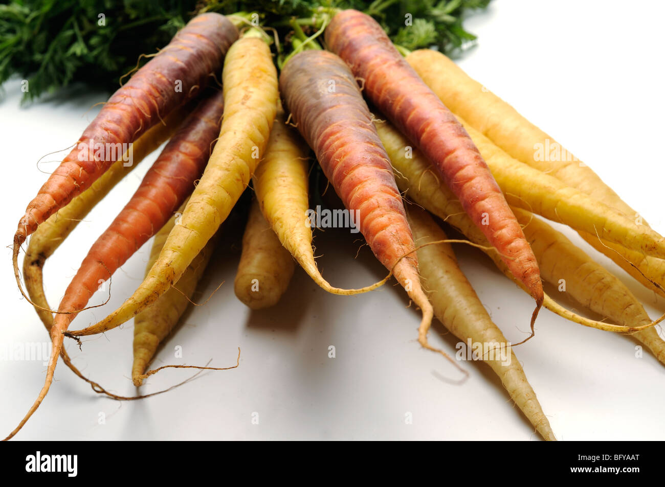 Carote colorate immagini e fotografie stock ad alta risoluzione - Alamy