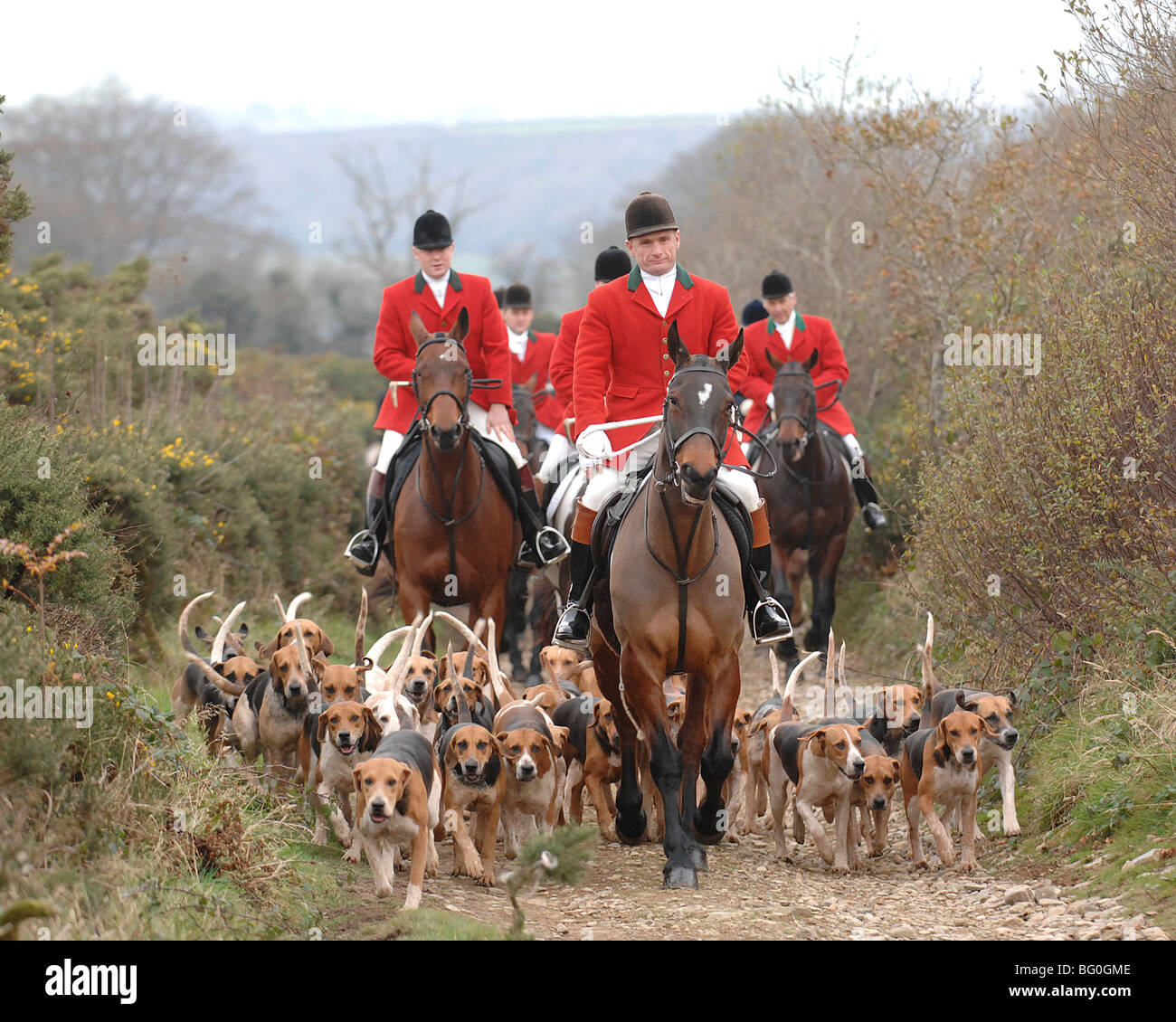 Caccia con la tua macchina fotografica immagini e fotografie stock ad ...